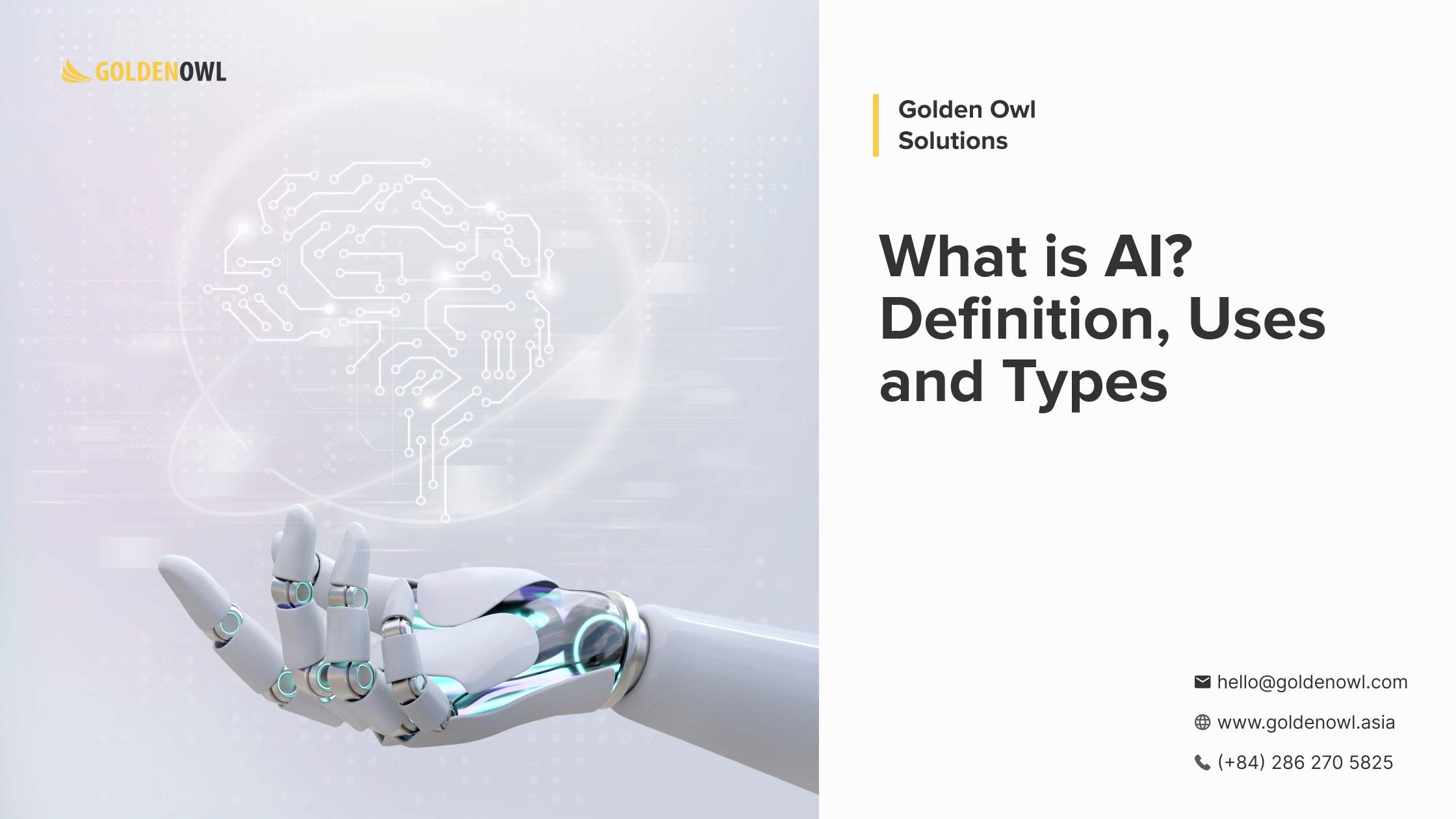 What is AI? Definition, Uses and Types - Golden Owl